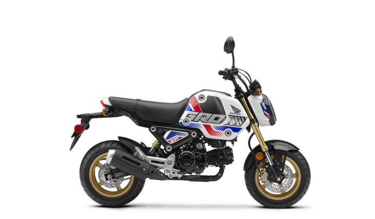 The Honda Grom returns for 2023 - SportBikes Inc Magazine